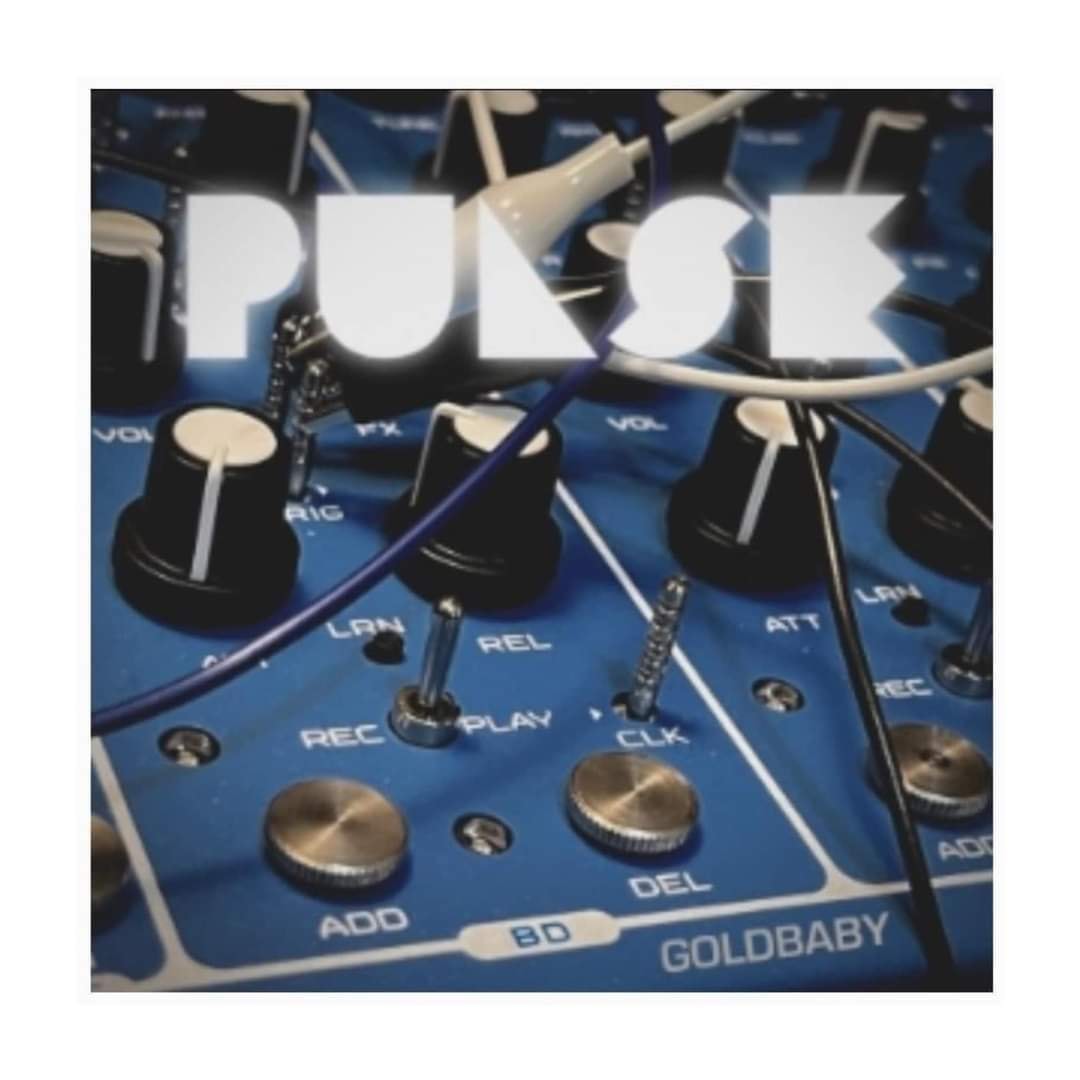 Goldbaby Release The Pulse Sample Pack - The Beat Community