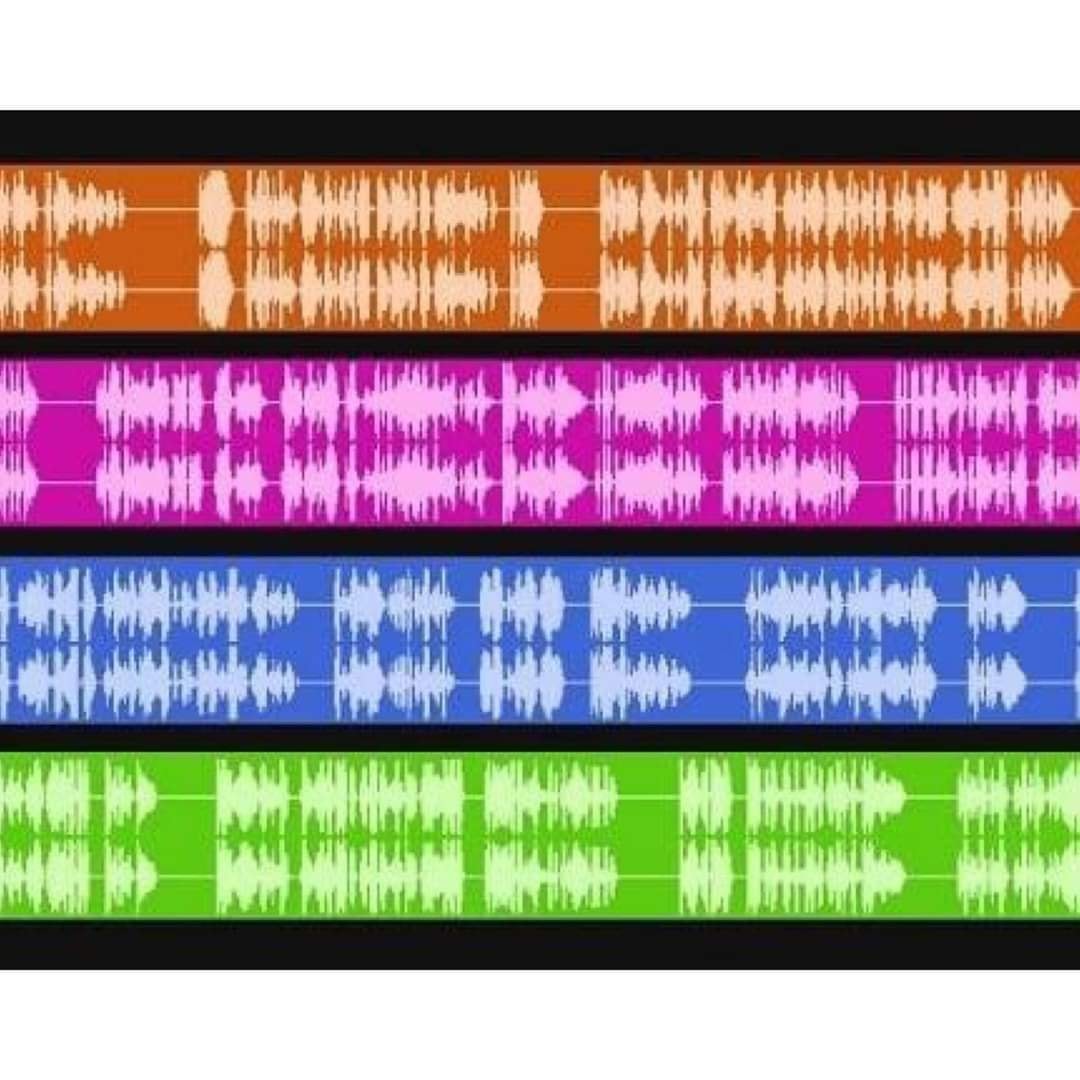 Everything You Need to Know About Stems - The Beat Community