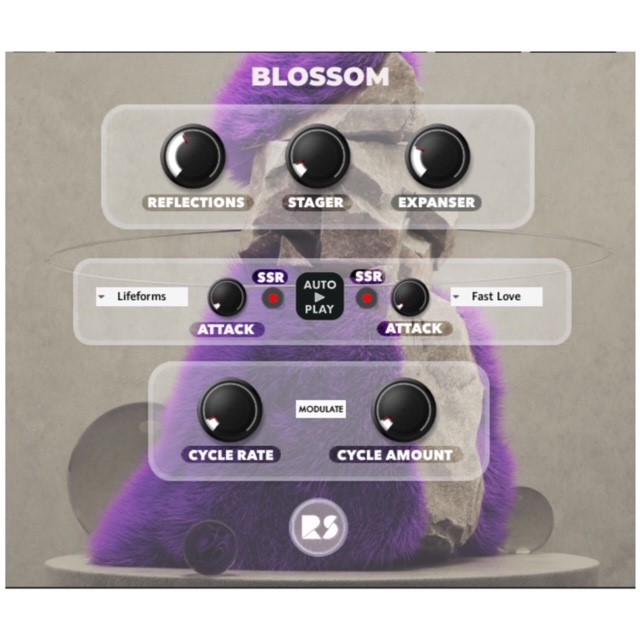 Rast Sound Release Blossom - A Taste Of Spring - The Beat Community