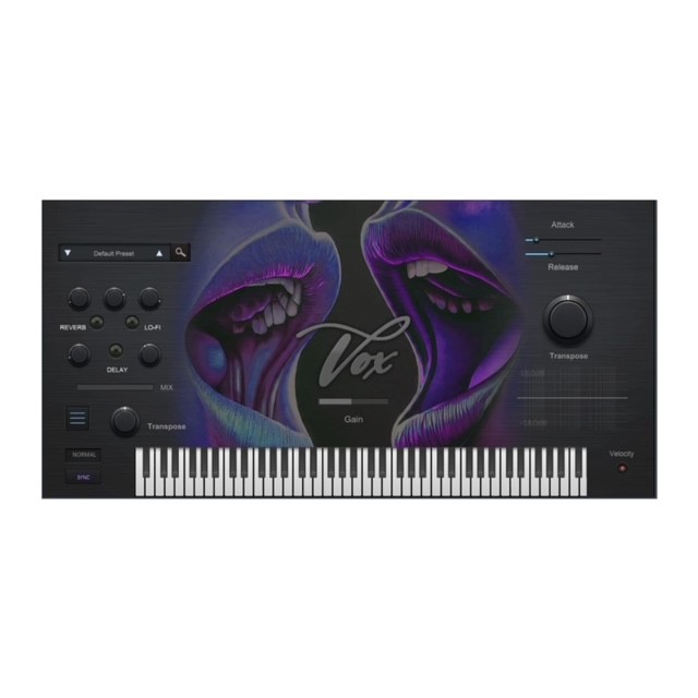 Check Out The New RnB Vox Plugin - The Beat Community