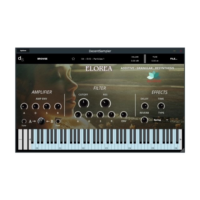 ZenDAW Release Elorea - For Decent Sampler + FREE Version - The Beat Community