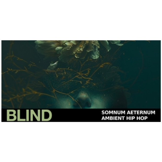 Somnum Aeternum - Ambient Hip Hop - Recently Added To Loopmasters & Loopcloud - The Beat Community