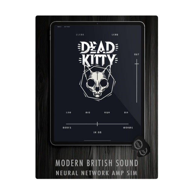 Aurora DSP Update Dead Kitty - The Beat Community