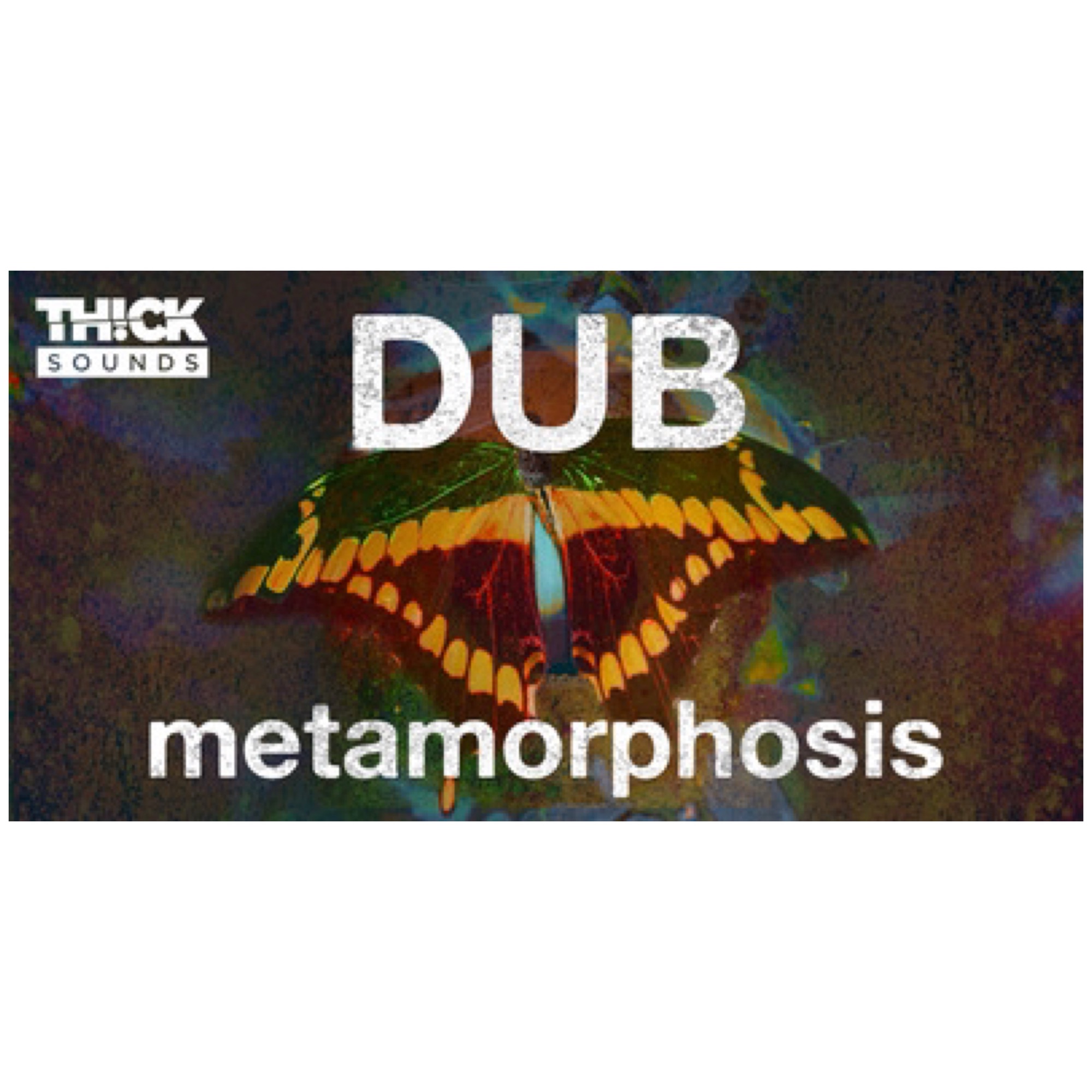 Dub Metamorphosis - Recently Added To Loopmasters & Loopcloud - The Beat Community